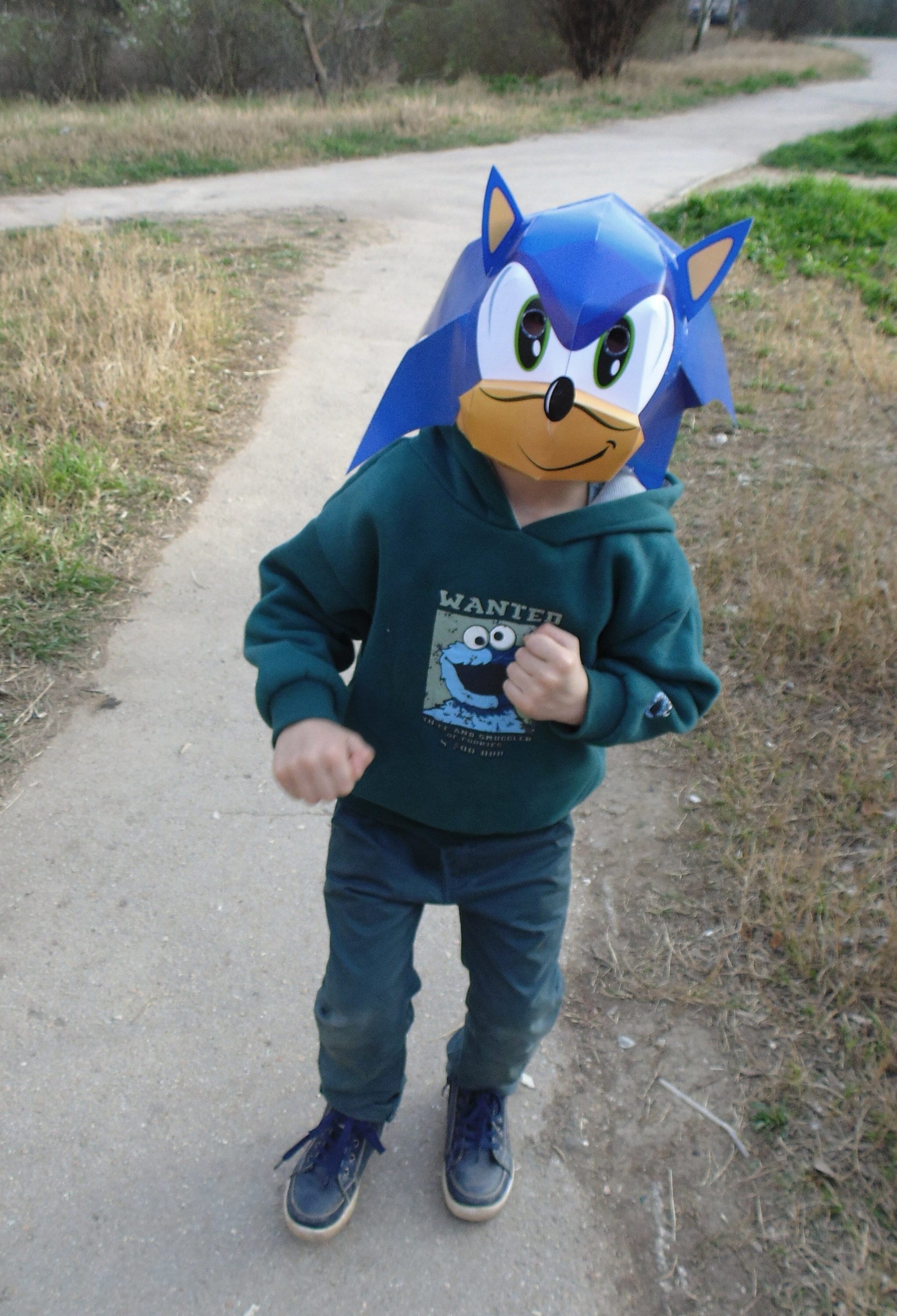 Sonic The Hedgehog Costume