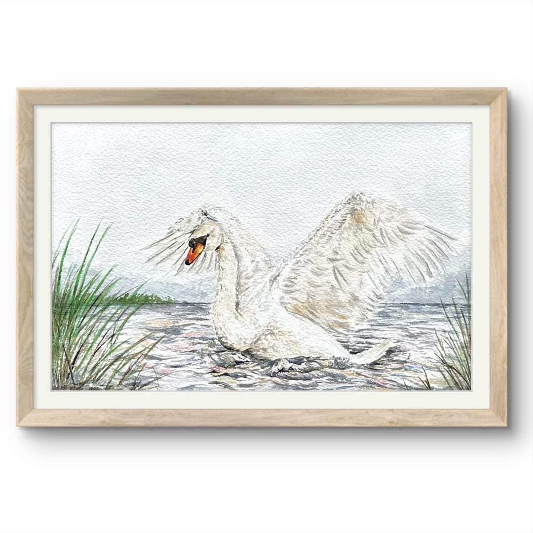 Swan Lake ORIGINAL Watercolour Painting White Swan Swimming, 6x9 Inch ...