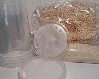 Fruit Fly Culture Kit Make Your Own Feeder Insect Cultures for Dart ...