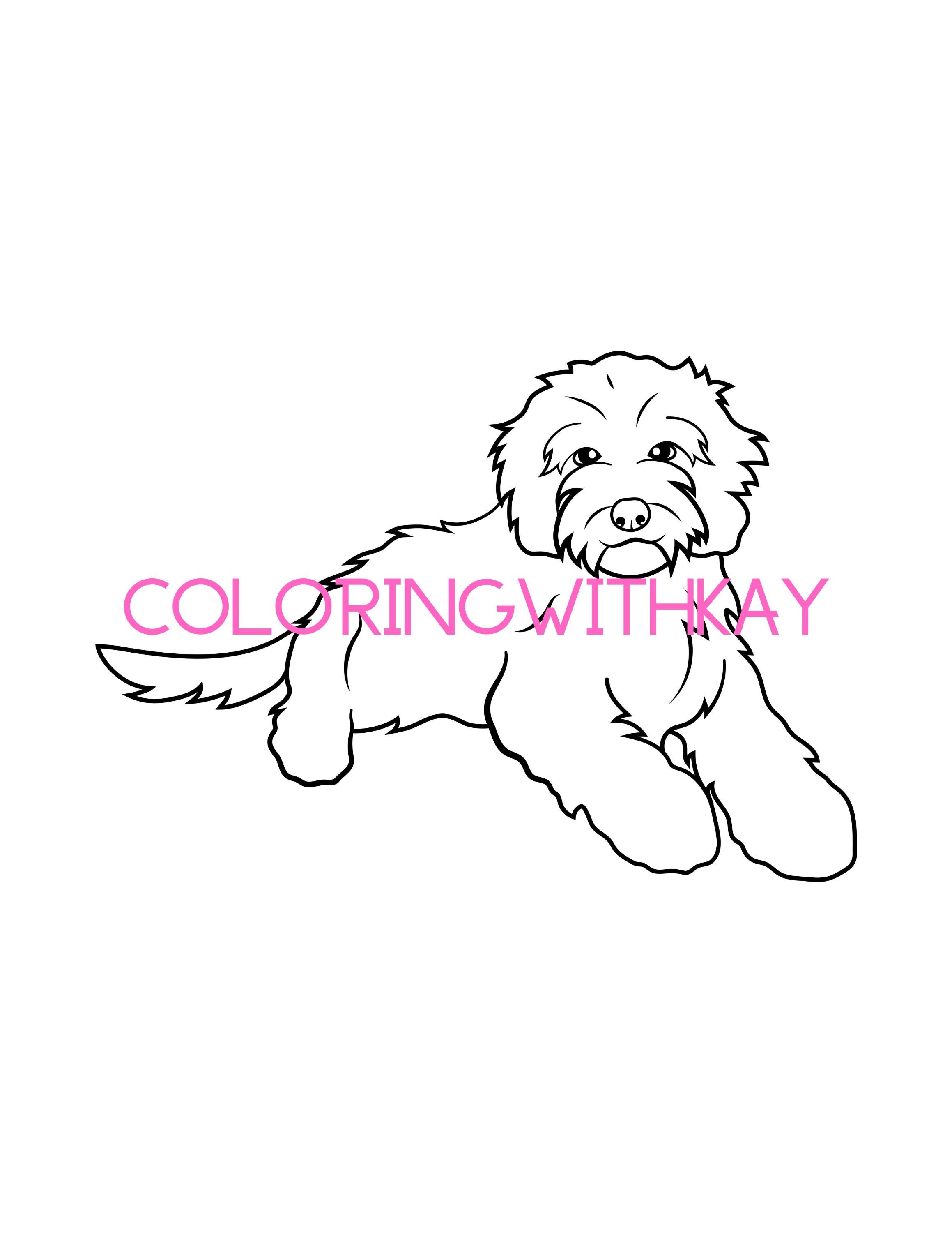 Golden Doodle Coloring Sheets Etsy