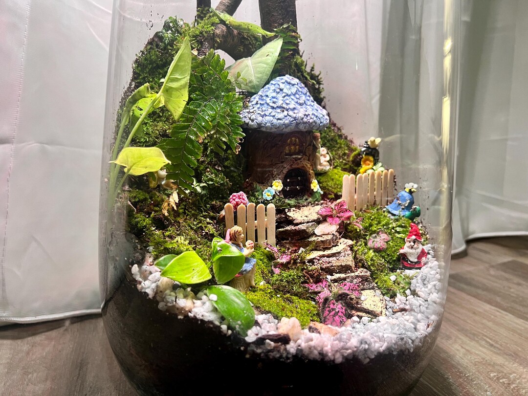 Custom Terrariums You Design It We Build It - Perfect for Home Decor ...