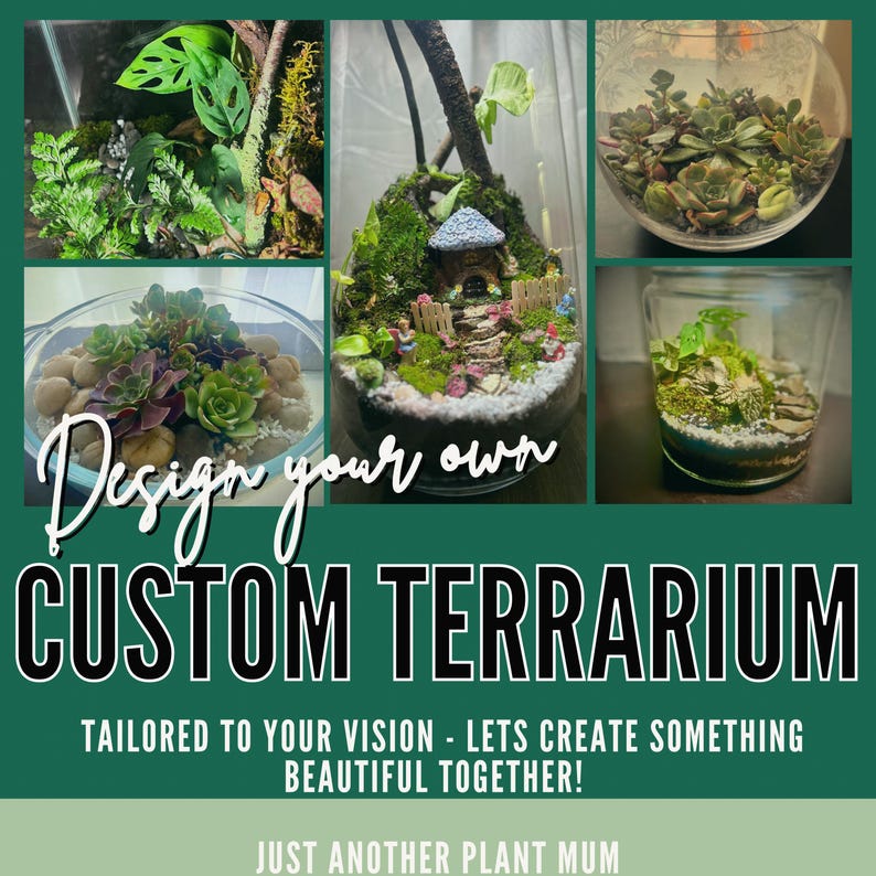 Custom Terrariums You Design It We Build It - Perfect for Home Decor ...