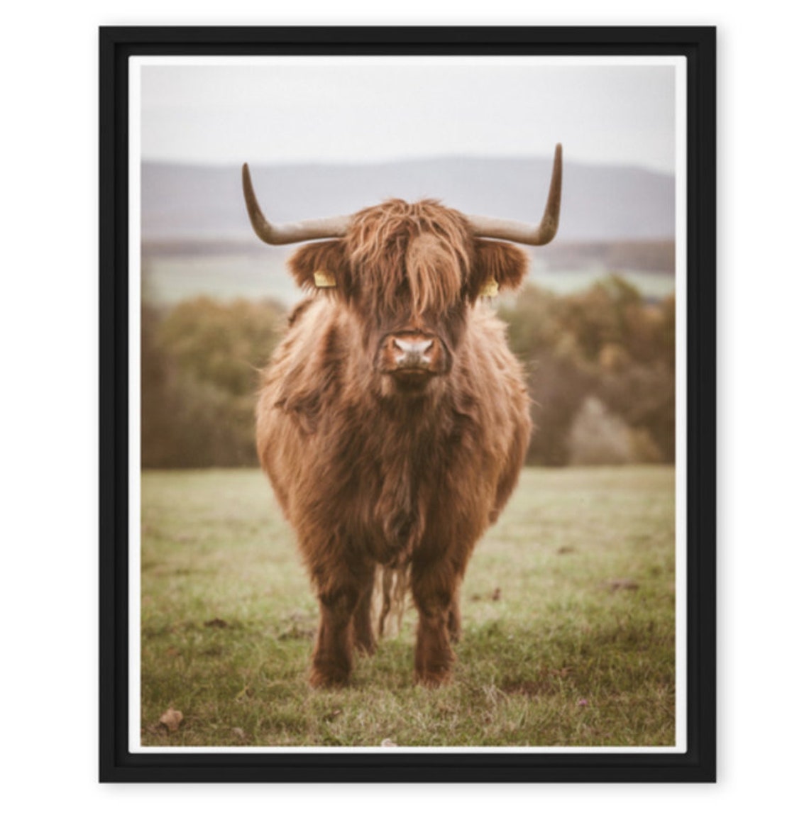 Cow Print - Etsy