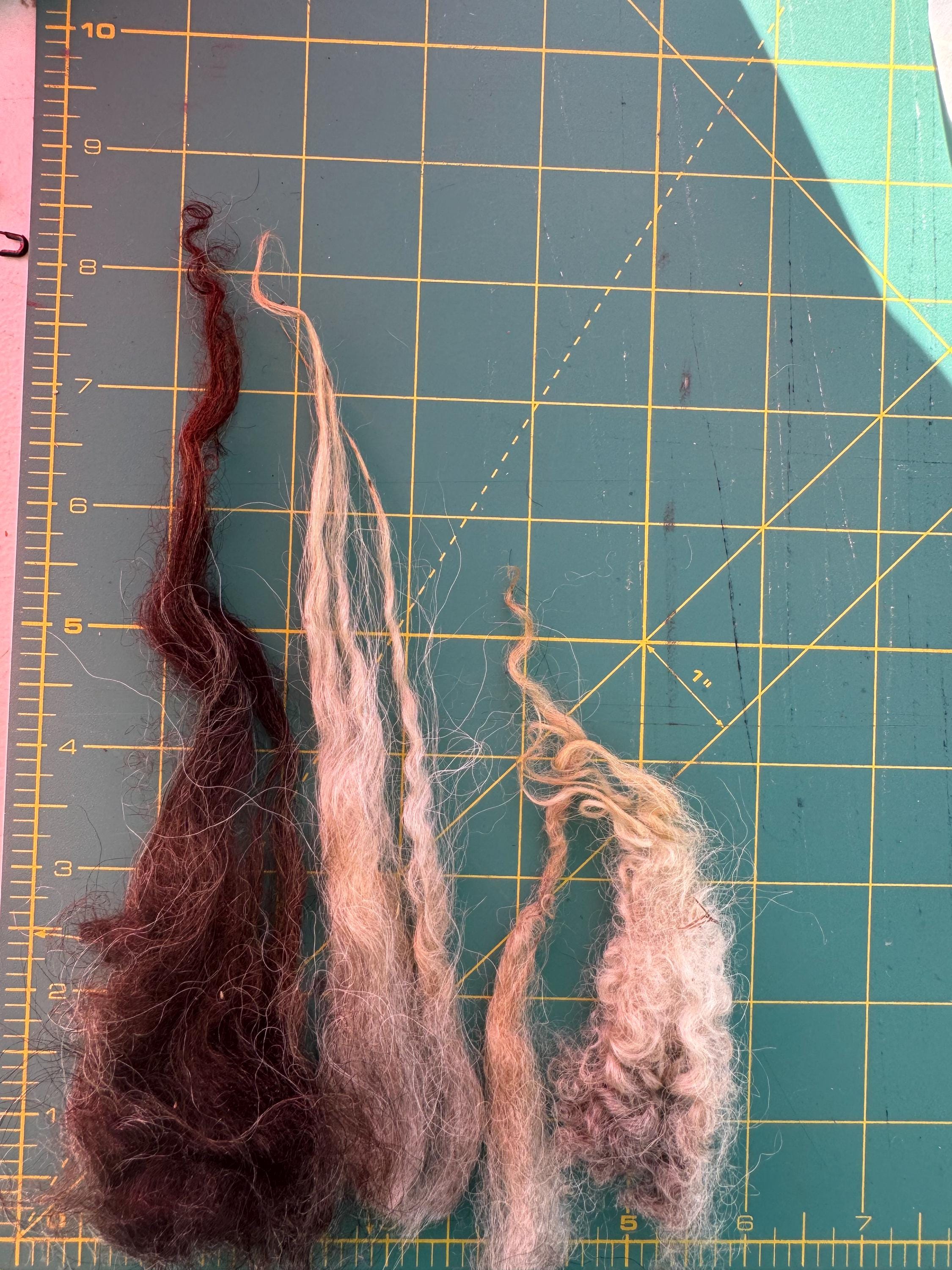 IRIS Raw Wool Icelandic Sheep Lambswool, Whole Fleece, Raw Wool ...