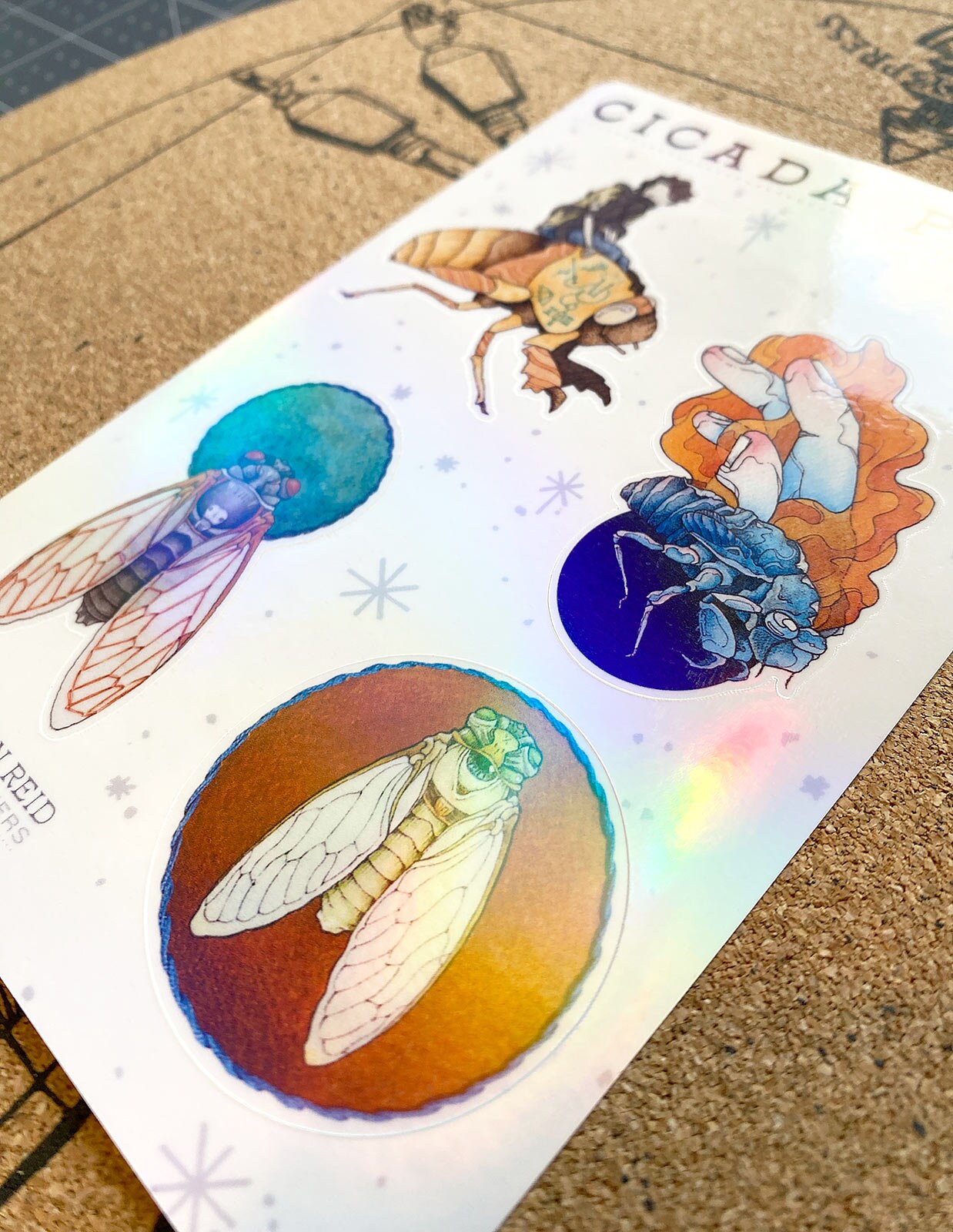 Die-cut cicada Pack Sticker Sheet - Etsy