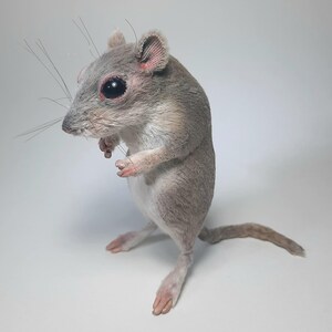 Handmade, Stuffed, Lifelike and Super Realistic Collectable Faux Fur ...