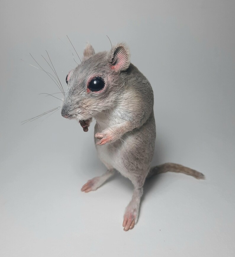 Handmade, Stuffed, Lifelike and Super Realistic Collectable Faux Fur ...