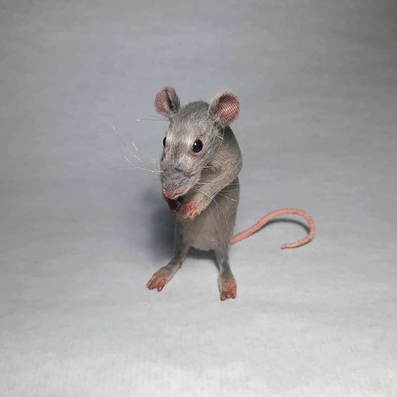 Realistic Mouse Toy - Etsy UK