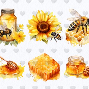 Watercolor Honey Bee Clipart Bundle: Floral PNG Graphics (digital ...