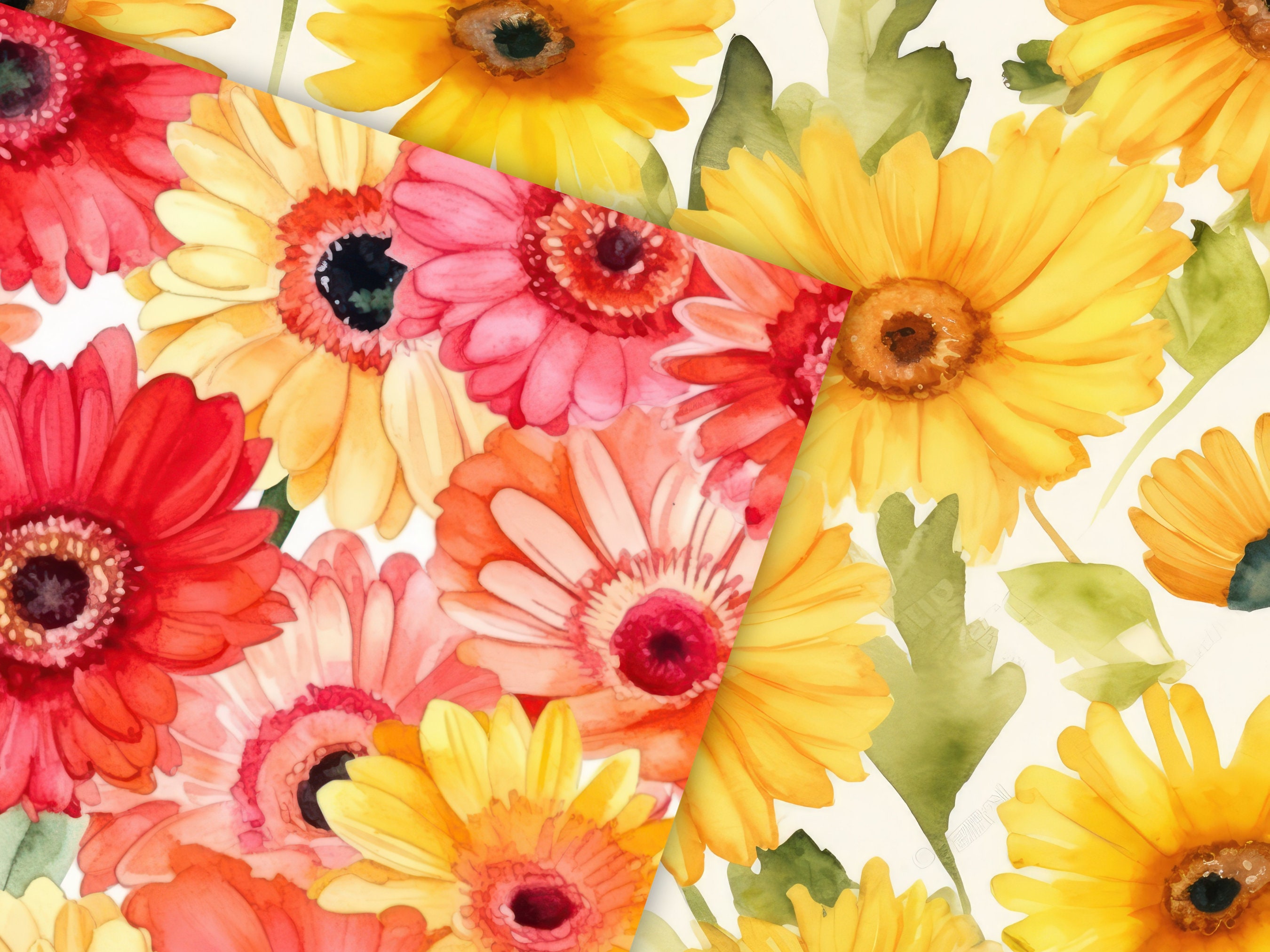 Gerber Daisy Digital Paper, Watercolor Daisies, Seamless Floral Pattern ...