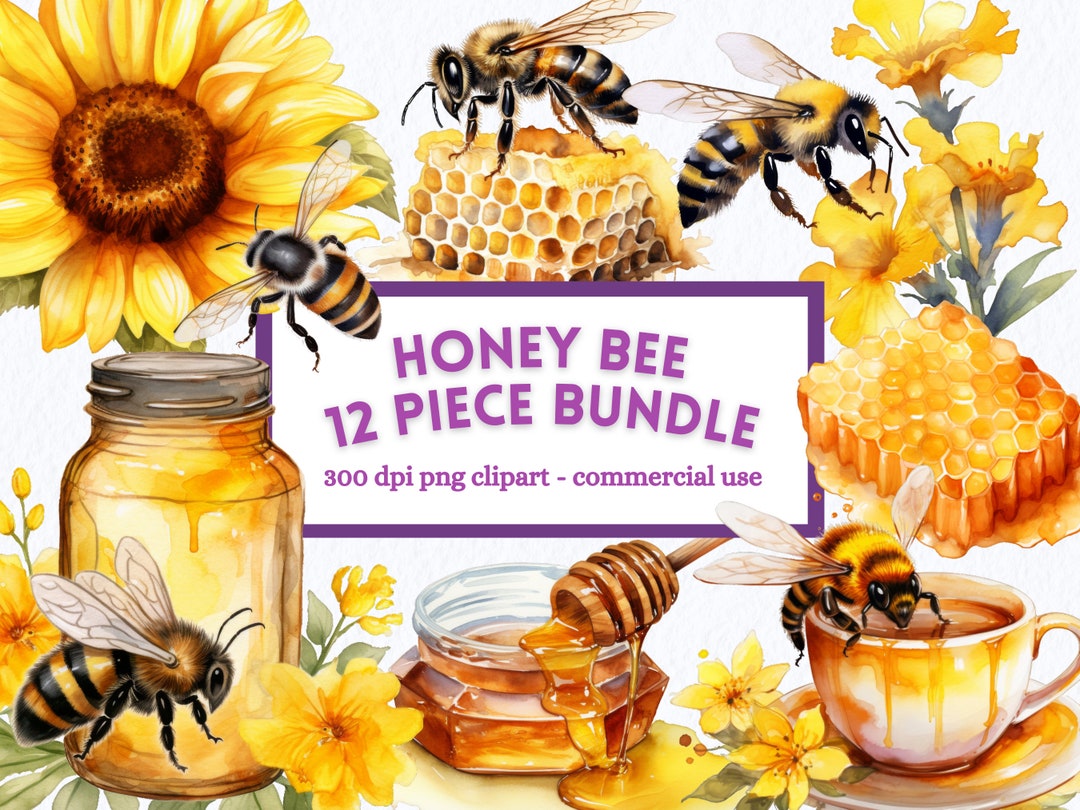 Watercolor Honey Bee PNG Clipart Bundle, Bumble Bee Clip Art, Junk ...