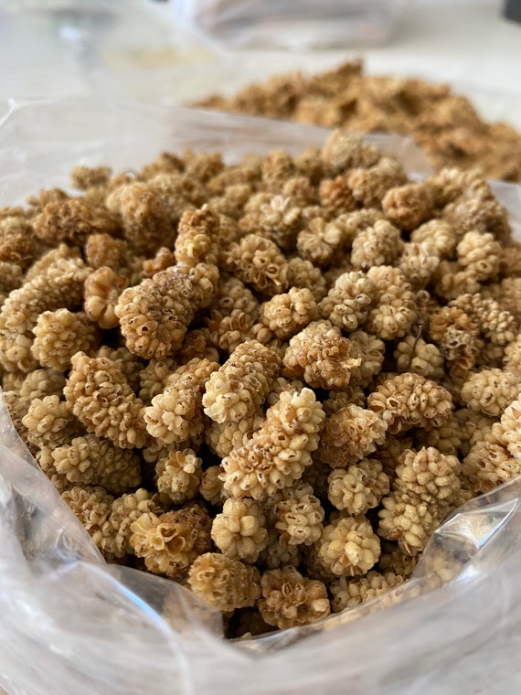 Dried Mulberries