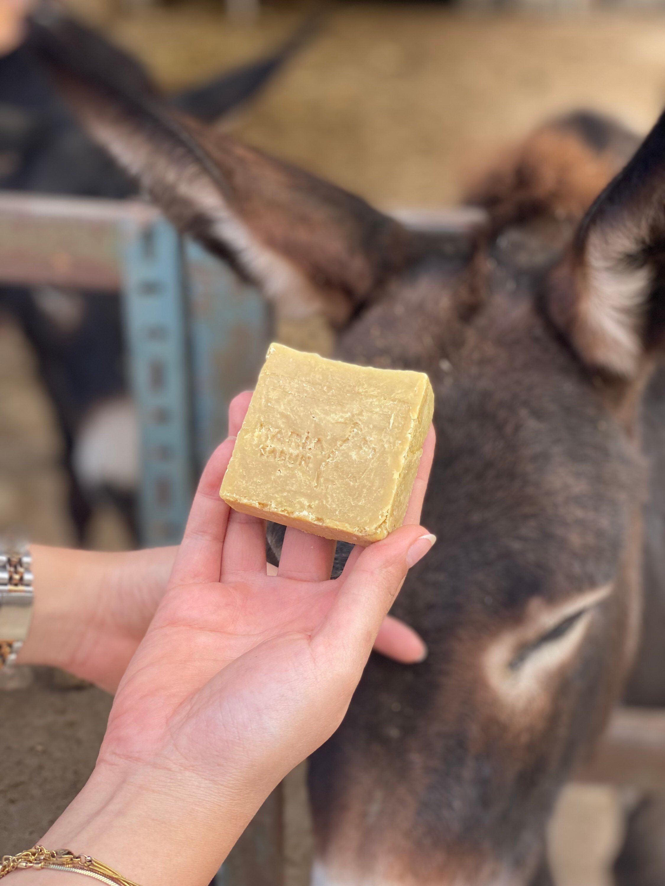 Donkey Milk Soap, From Our Own Farm - Suitable for Gift, in Gift Wrap ...