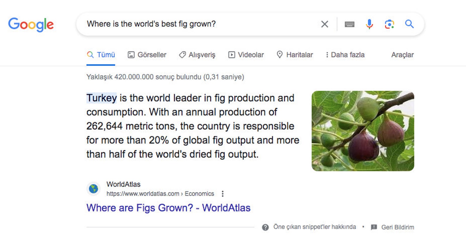 The Best Fig in the World (it is Not a Joke) - Sun Dried Figs, Natural ...