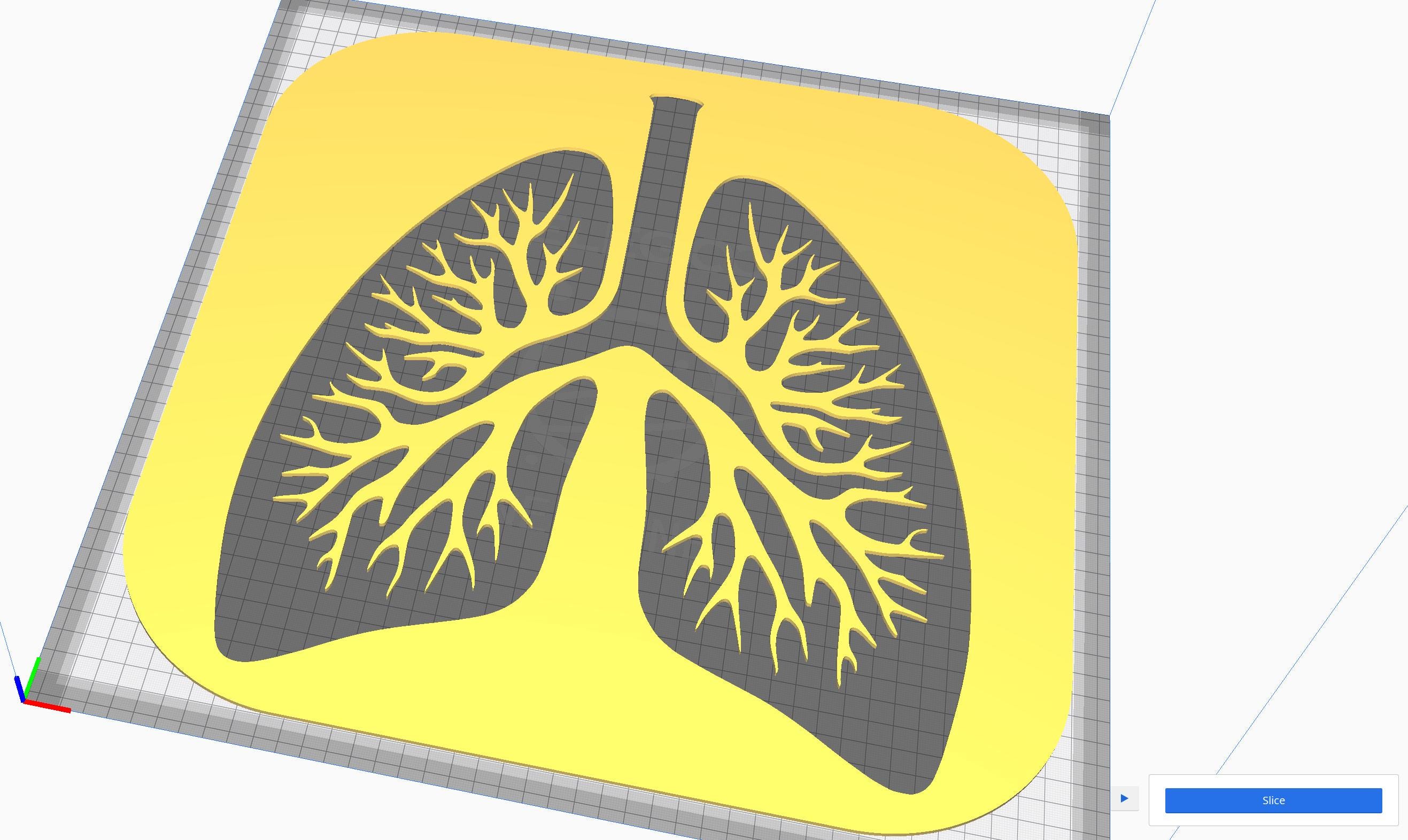 Lung Stencil, Anatomy DIY Craft Stencil, Digital Download, STL, DXF ...