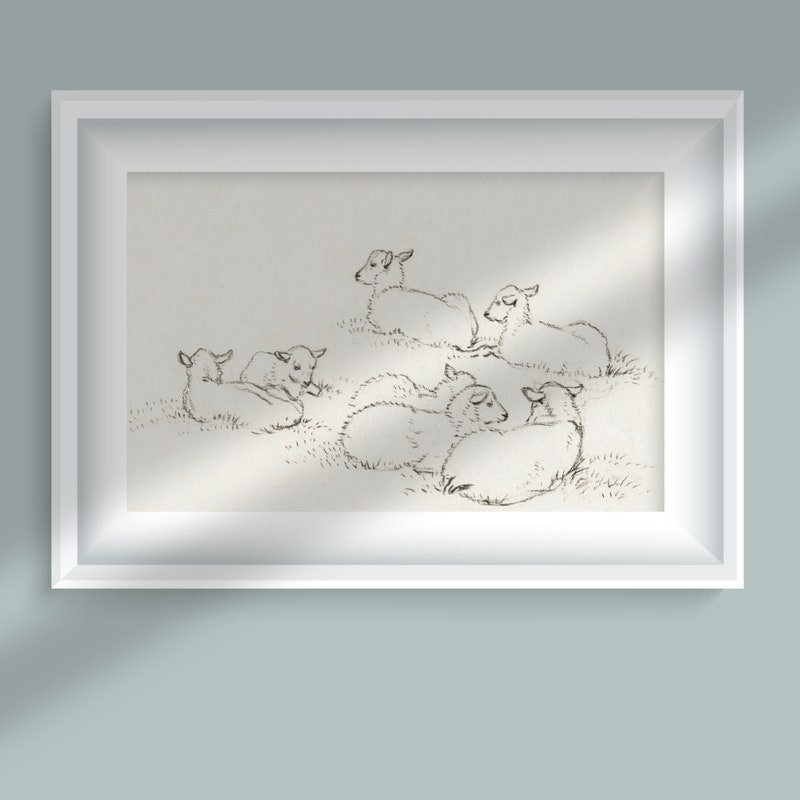 Sheep Charcoal Drawing - Etsy