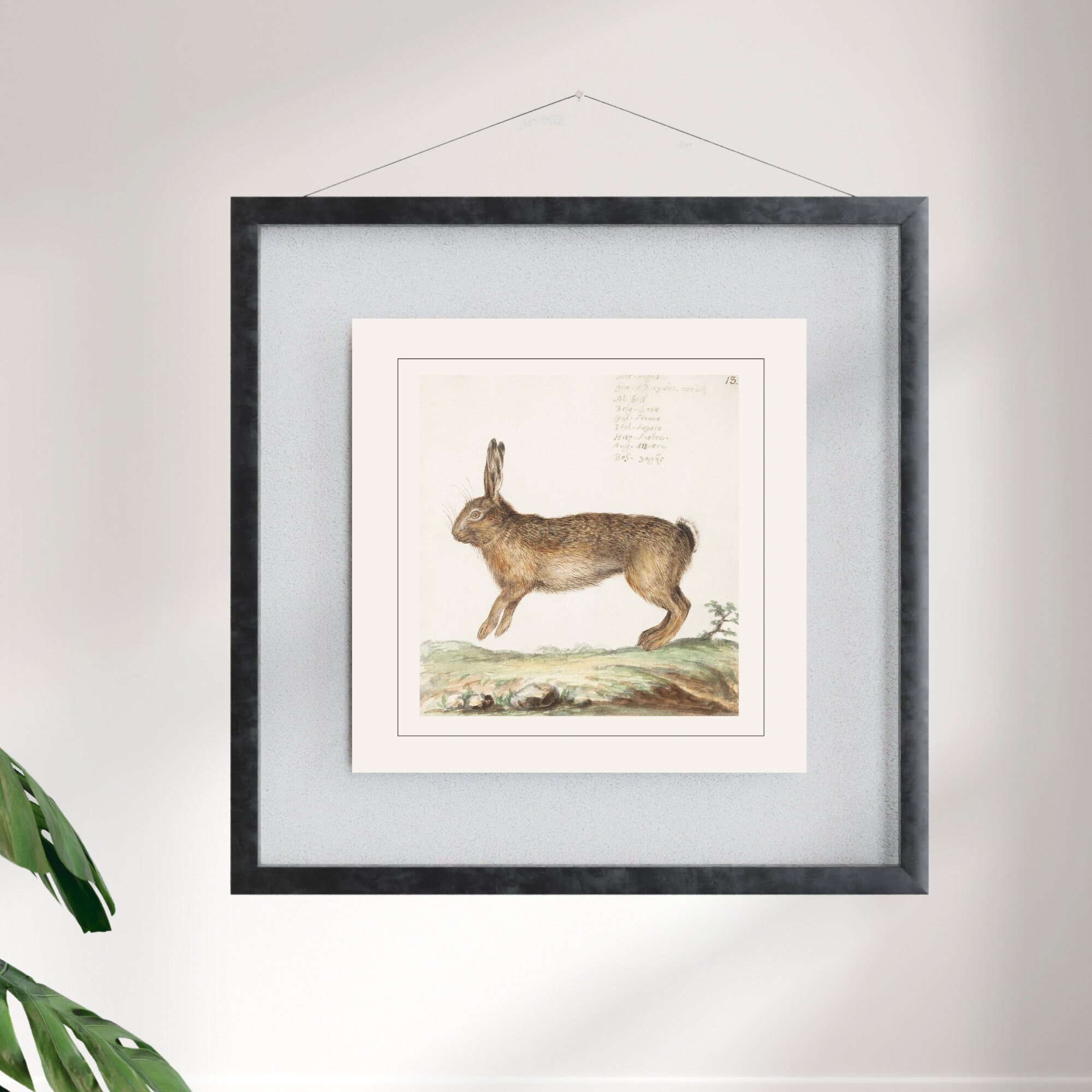 Vintage Square Spring Hare Watercolor Illustration Reproduction ...