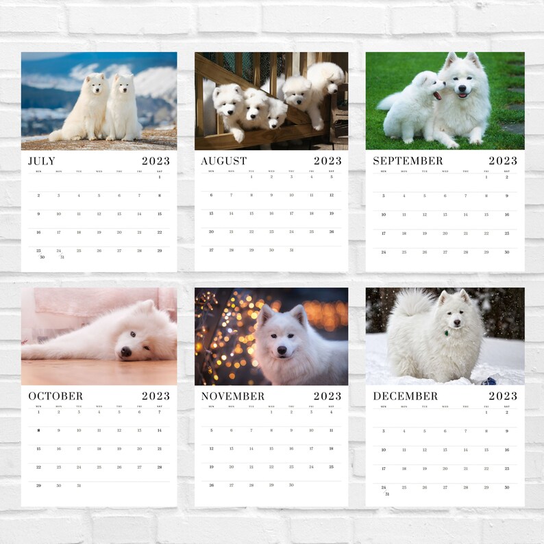 Samoyed 2023 Calendar - Etsy