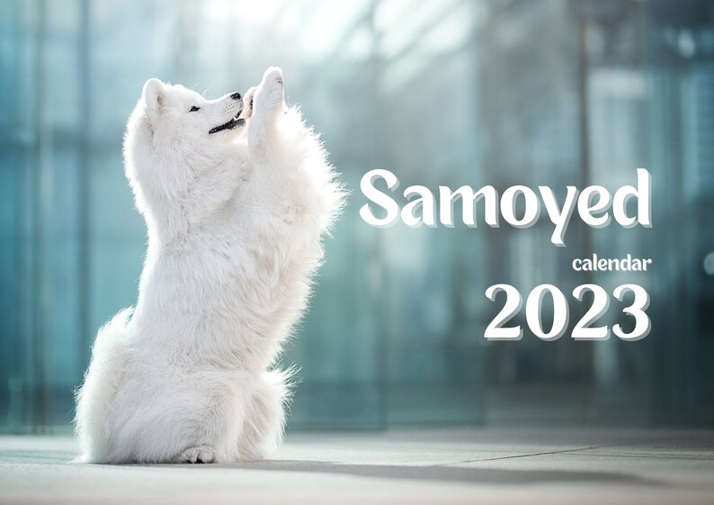 Samoyed 2023 Calendar - Etsy