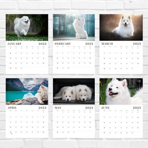 Samoyed 2023 Calendar - Etsy
