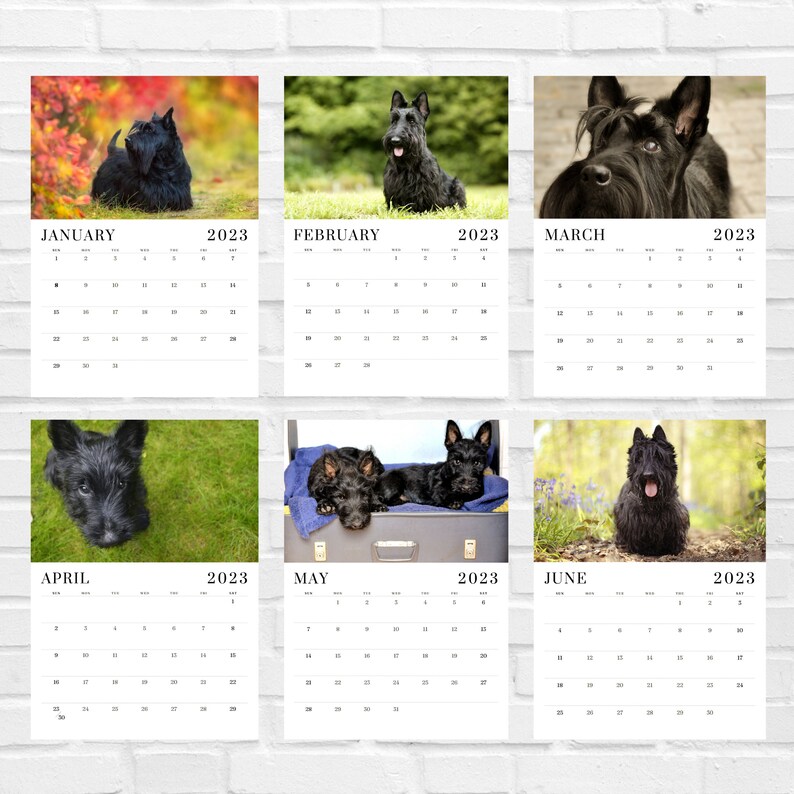 Scottish Terrier 2023 Calendar Dog Lover Gift - Etsy