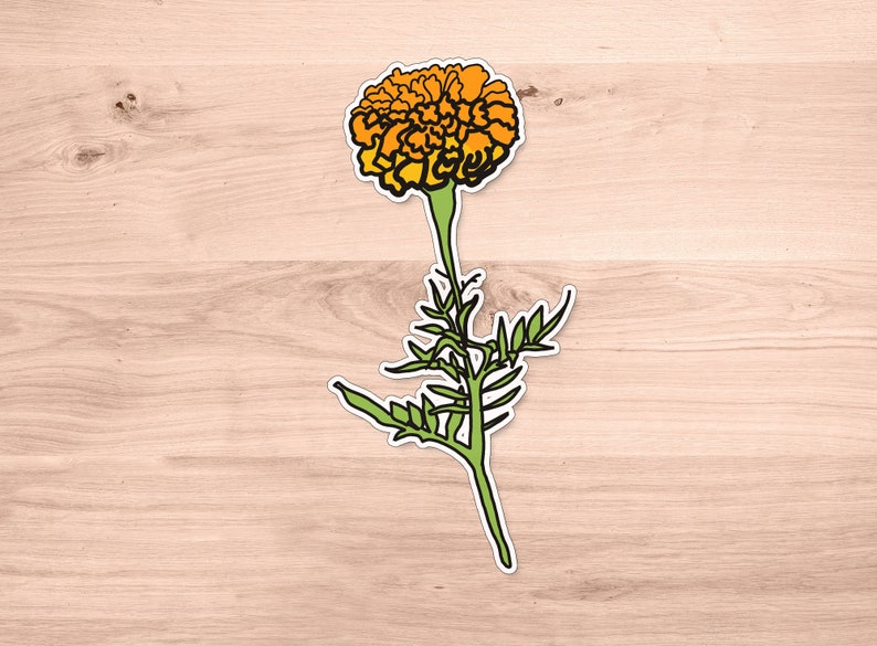 October Marigold SVG, Marigold Flower Svg, October Flower SVG, Flower ...