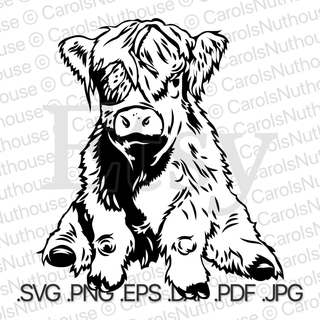 Baby Highland Cow SVG, Baby Cow Svg, Baby Hairy Cow SVG, Cute Highland ...