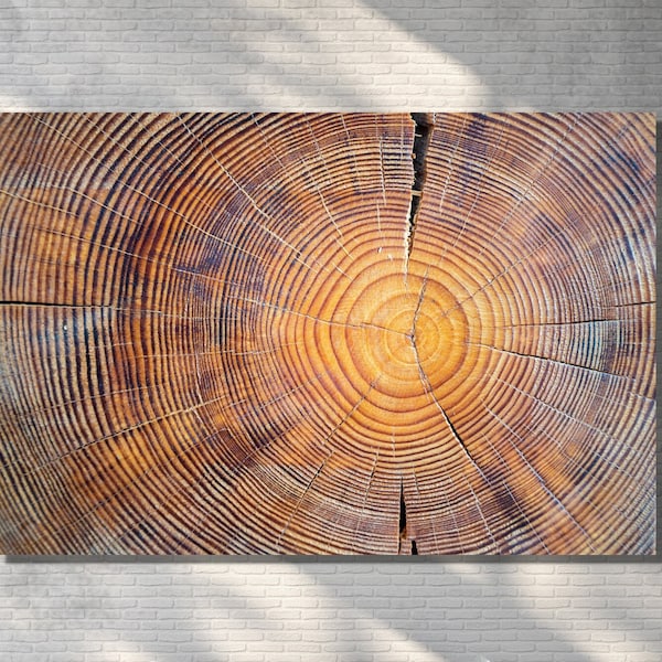 Tree Ring Wall Art - Etsy