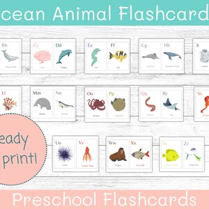 Ocean Flashcards, Educational Flashcards, Flashcards for Kids, Sea ...