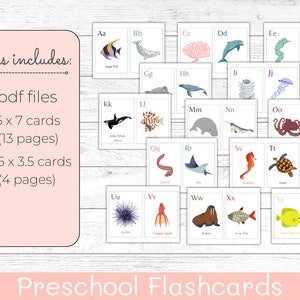 Ocean Flashcards, Educational Flashcards, Flashcards for Kids, Sea ...