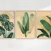 Set of 6 Botanical Leaf Prints Green Plant Gallery Wall Set Tropical ...