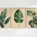 Set of 6 Botanical Leaf Prints Green Plant Gallery Wall Set Tropical ...