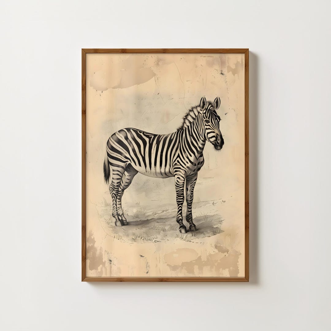 Vintage Zebra Print Antique Zebra Wall Art Safari Home Decor Animal ...