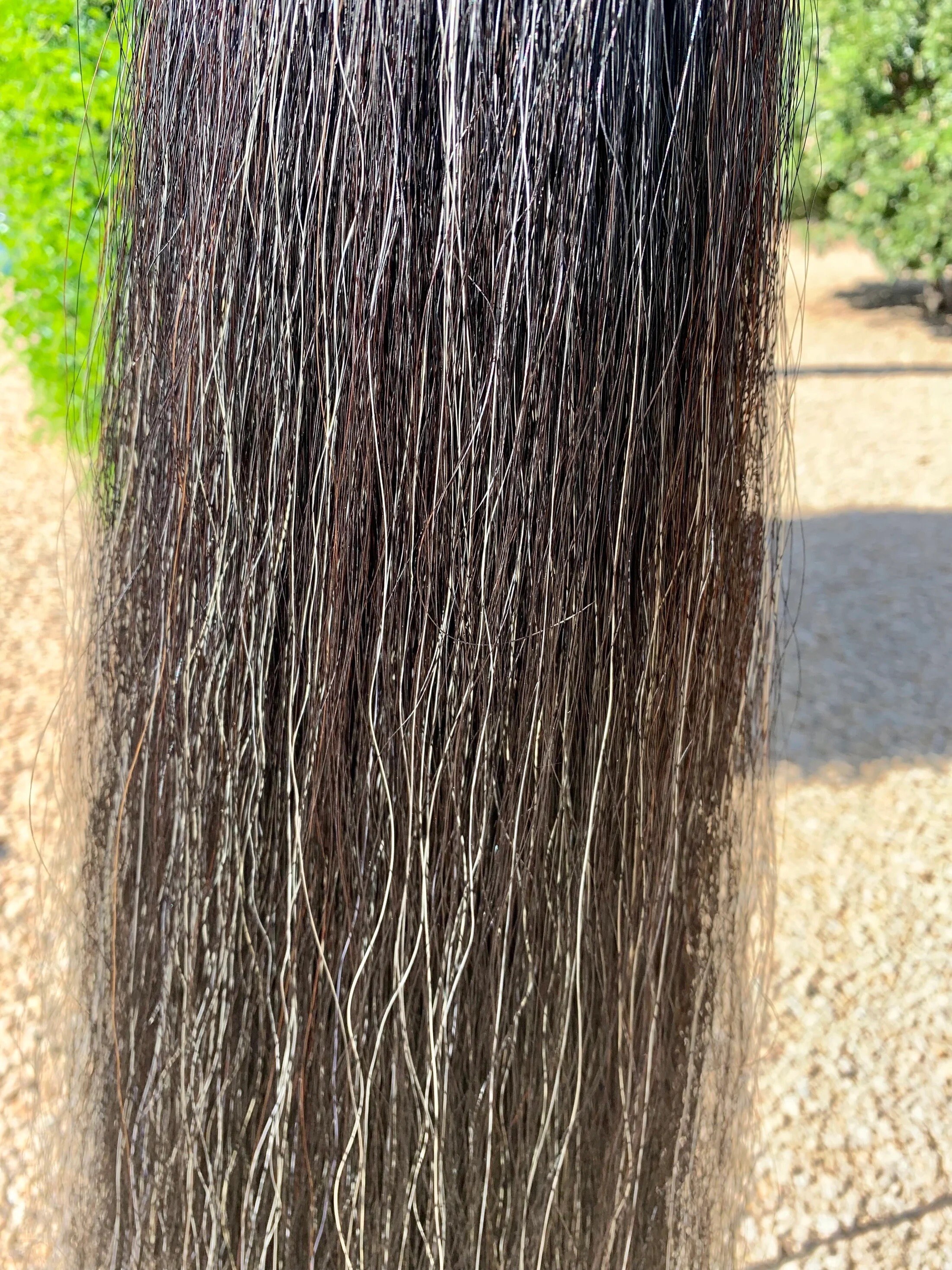 Dark Gray Horse Tail Extension, 34”, 2 Lb - Etsy