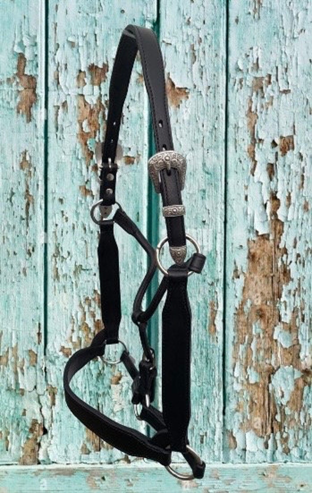 Black Horse Size Congress Cut Leather Halter With Antique Silver Floral ...