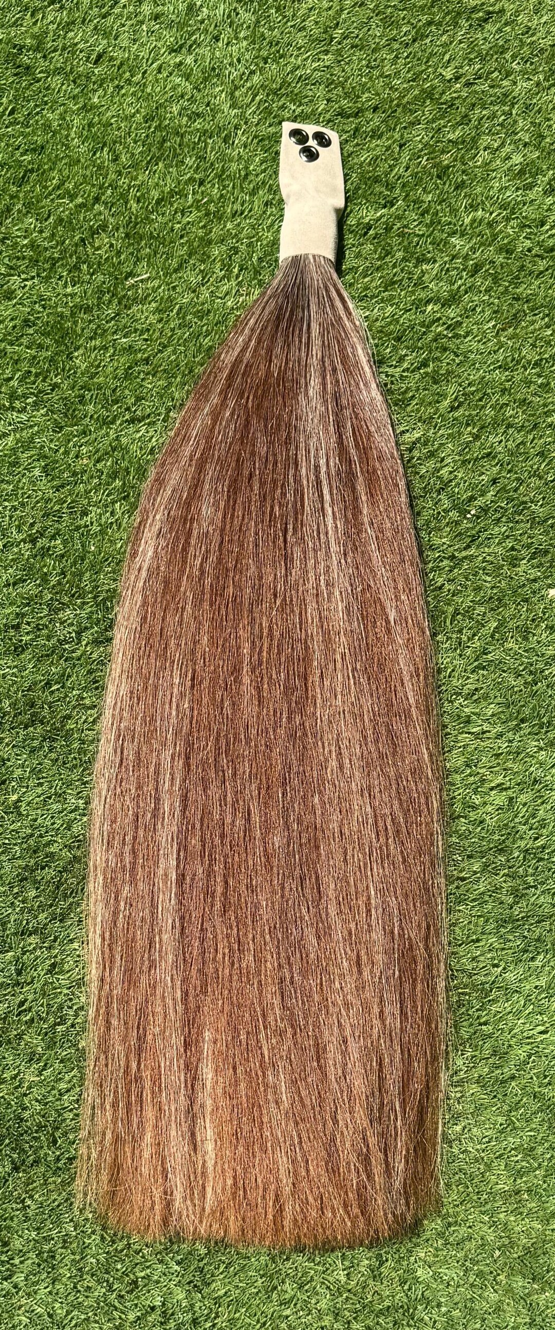 Medium Sorrel With Minimal Flaxen Tail Extension, 37”, 2.25 Lb, Weight ...