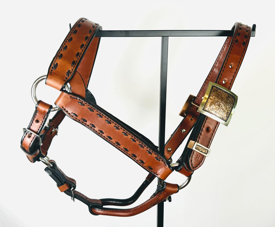 Chestnut and Black Buckstitch Halter With Copper Buckles - Etsy