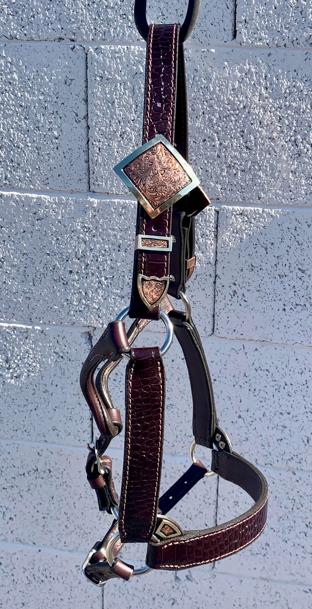 Brown Crocodile Embossed Leather Halter With Copper and Silver Hardware ...