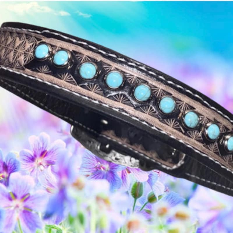 Turquoise Dog Collar - Etsy