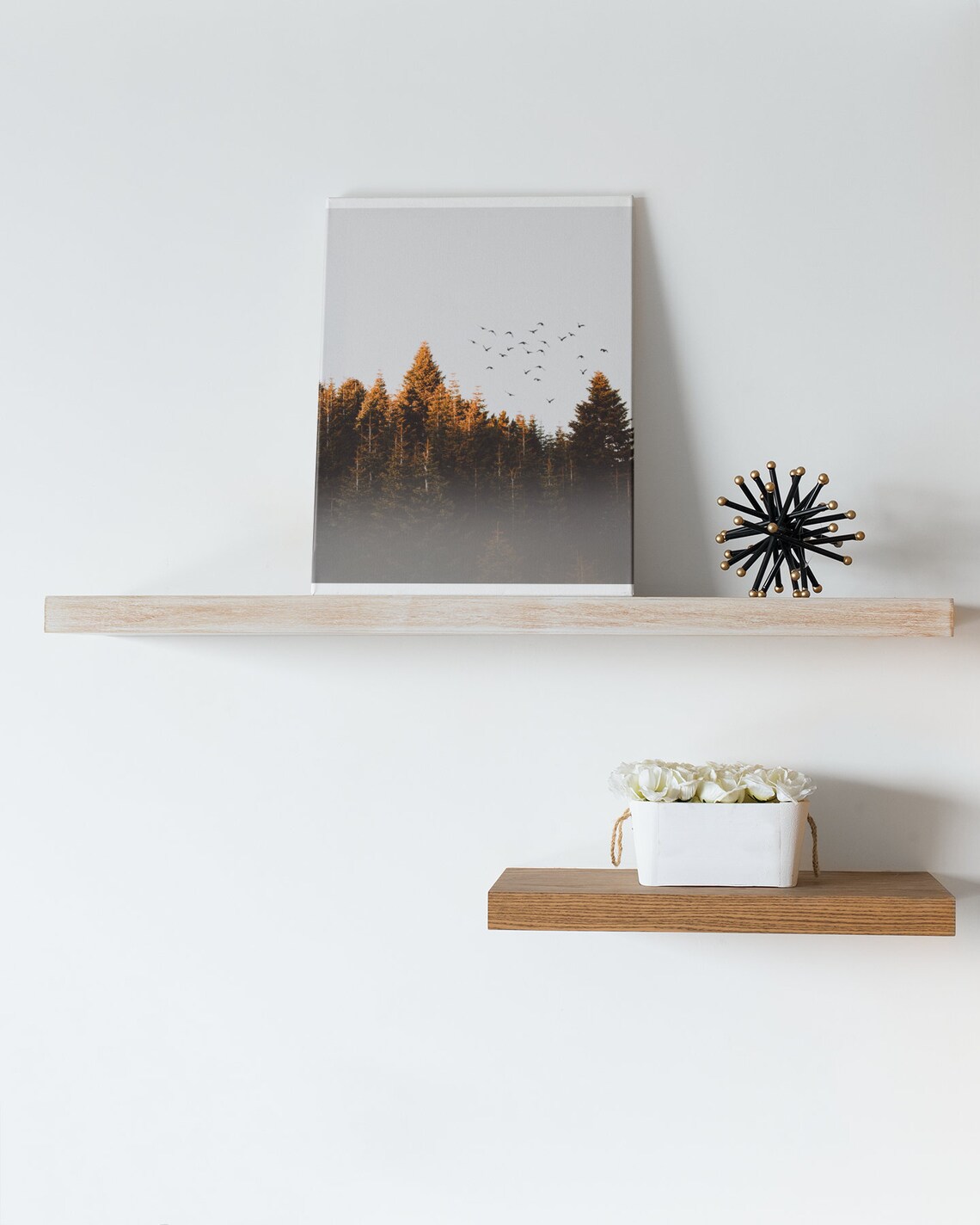 Scenic Wood Forest Photography Art Digital Download - Etsy