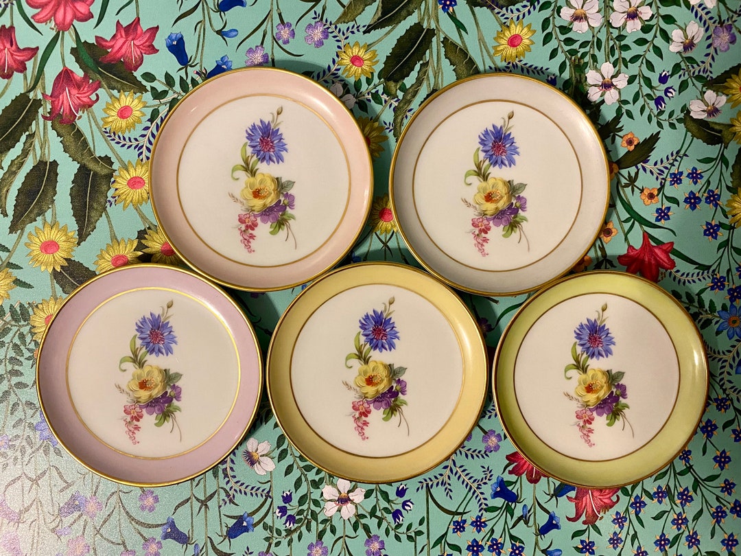 Alka Kunst Alboth & Kaiser Western Germany Bavaria Floral Plate Set - Etsy