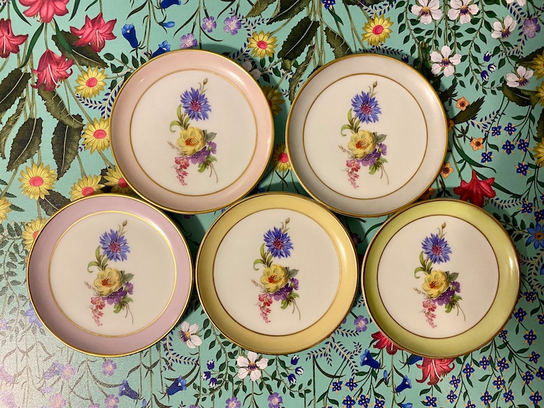 Alka Kunst Alboth & Kaiser Western Germany Bavaria Floral Plate Set - Etsy