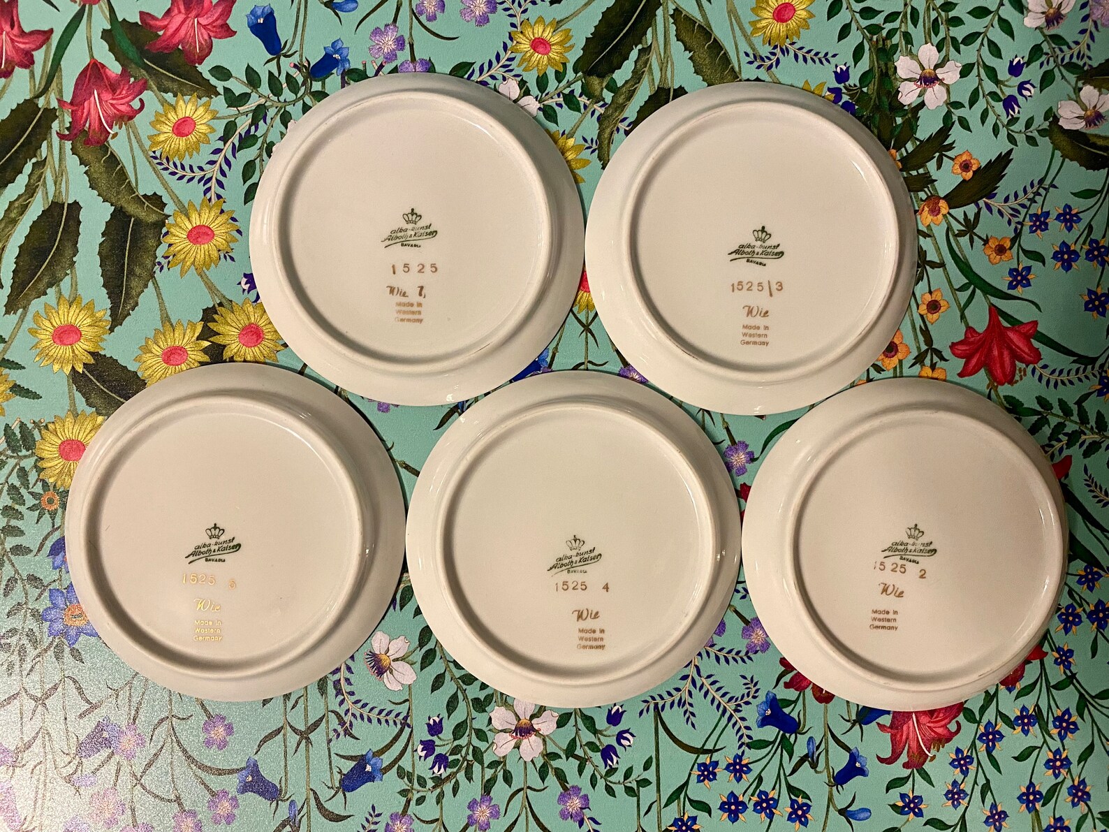 Alka Kunst Alboth & Kaiser Western Germany Bavaria Floral Plate Set - Etsy