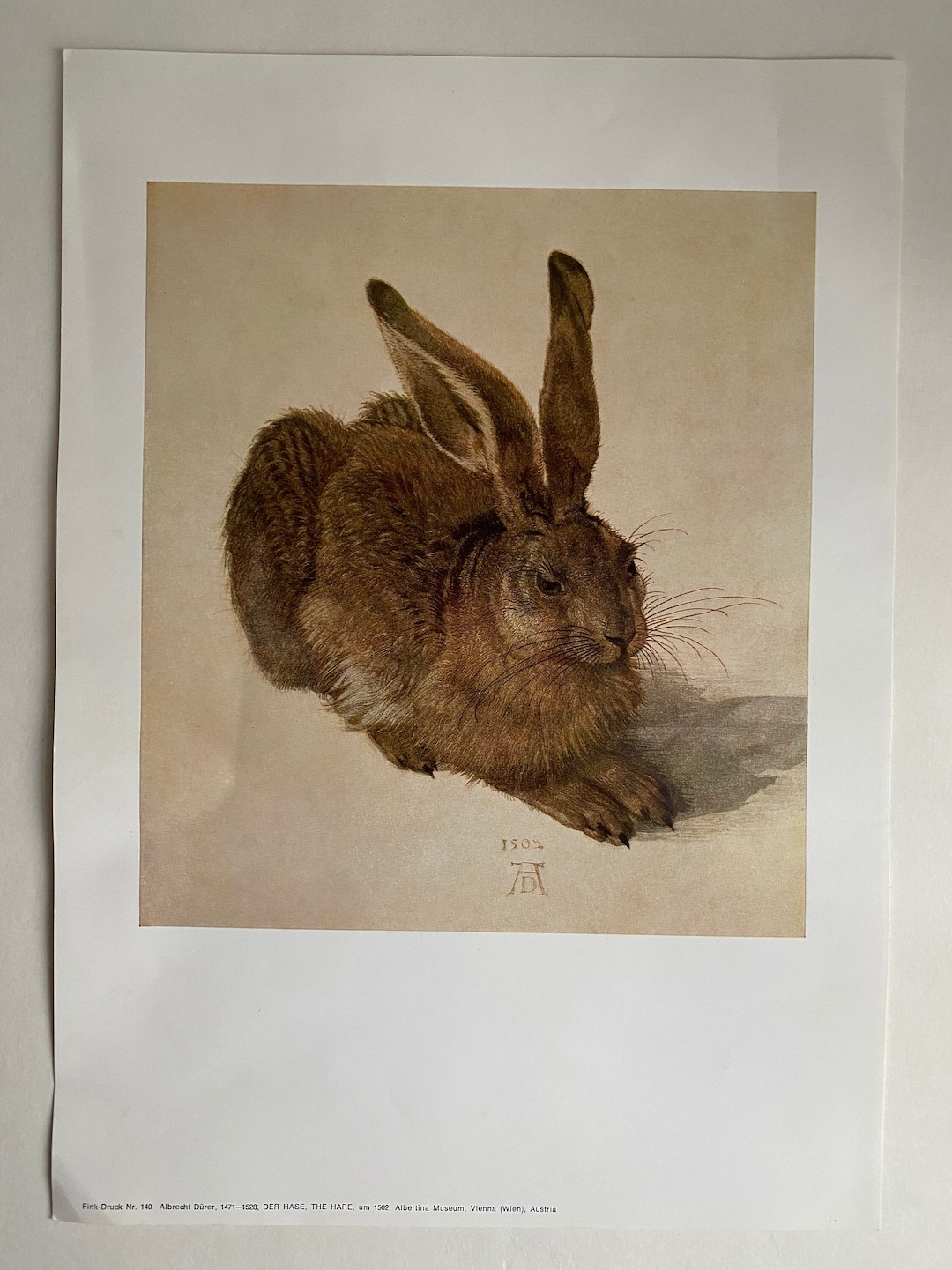 Albrecht Durer "the Hare" (1471-1528) Print Albertina Museum Vienna ...