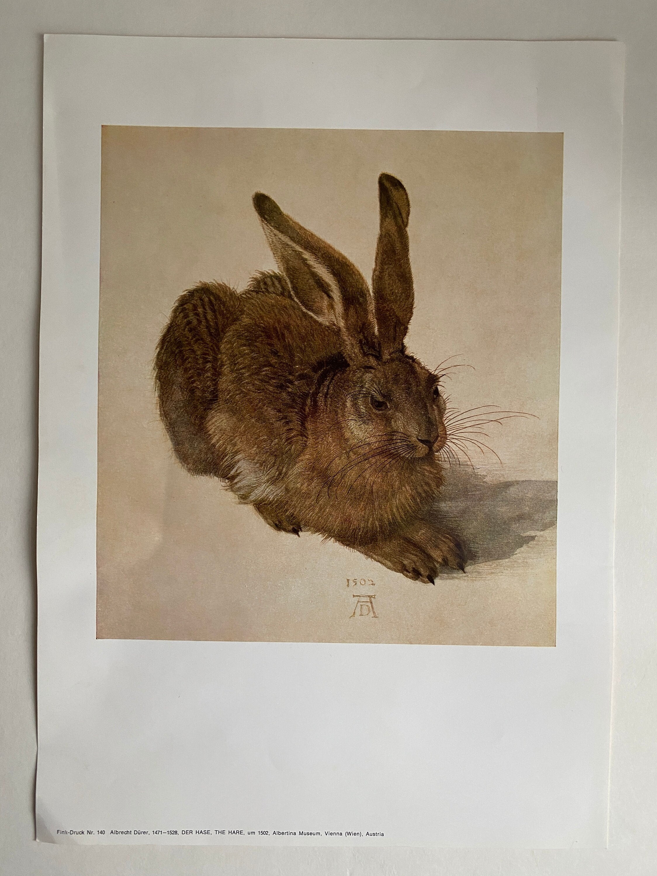 Albrecht Durer "the Hare" (1471-1528) Print Albertina Museum Vienna ...