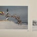 Ruth Ann Burgess Lithographic Print "santa Claus" 1983 - Etsy