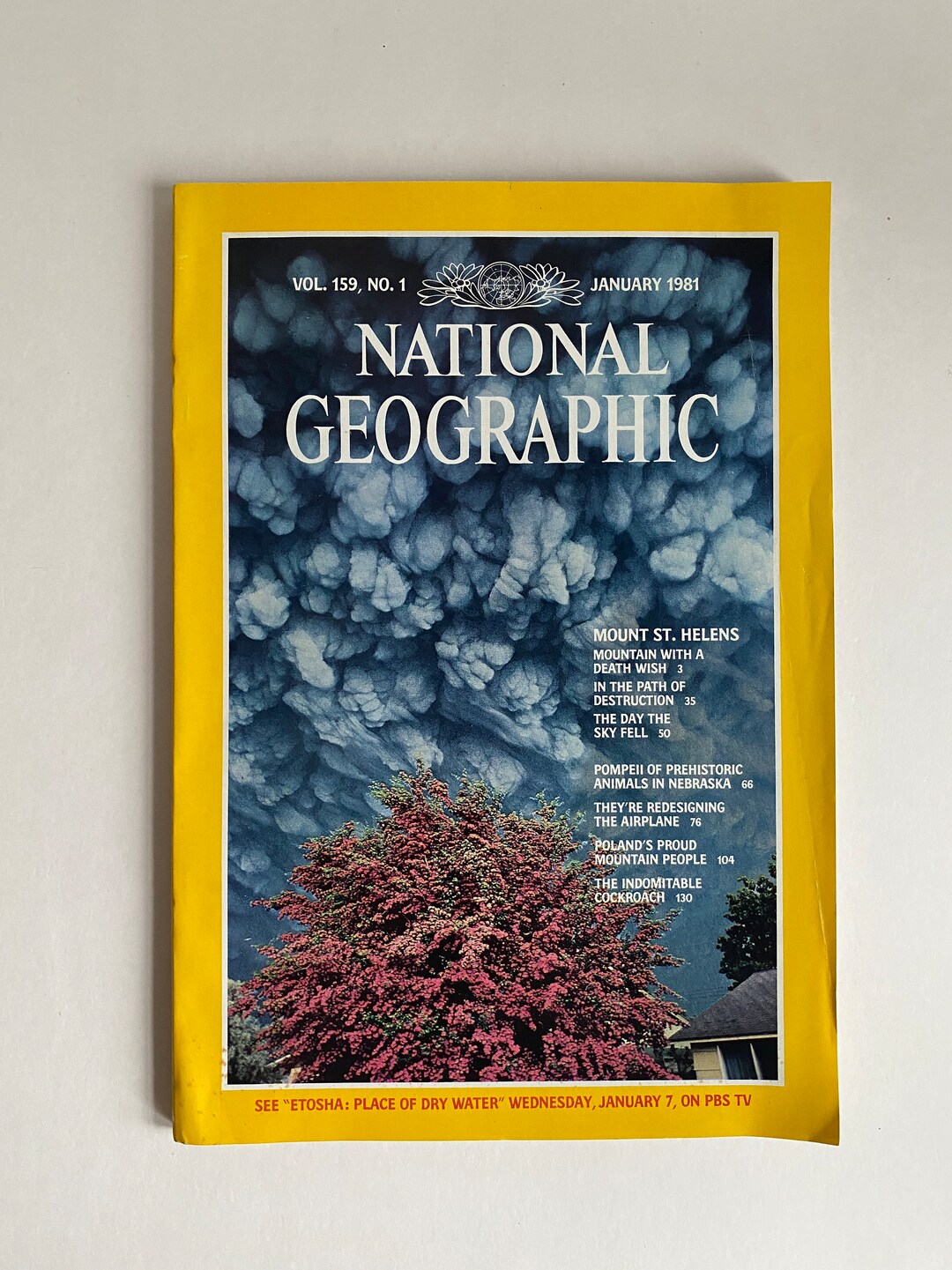 National Geographic Magazine Vol. 159 No. 1 January 1981 - Etsy