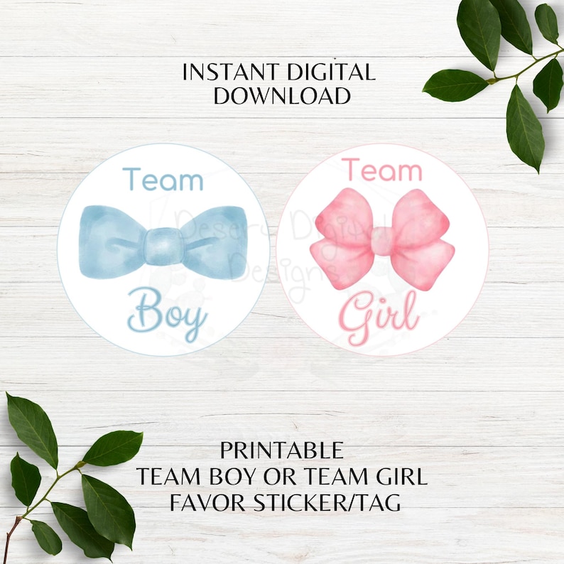 Team Boy Team Girl Favor Tags Printable Pink or Blue Baby Gender Reveal ...
