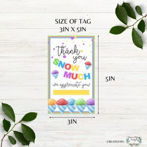 Thank You Snow Much We Appreciate You Printable Thank You Tag ...