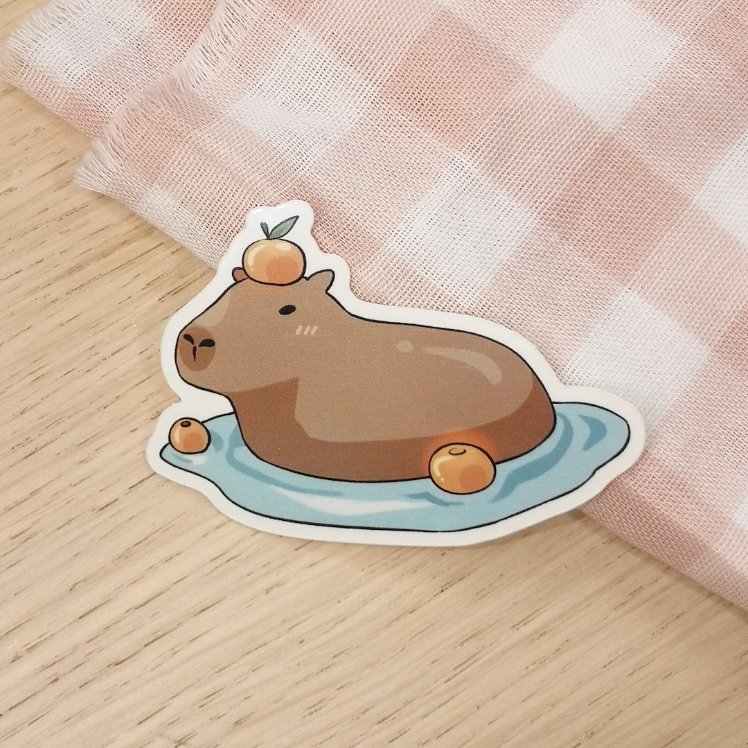 Chill Capybara Sticker - Etsy